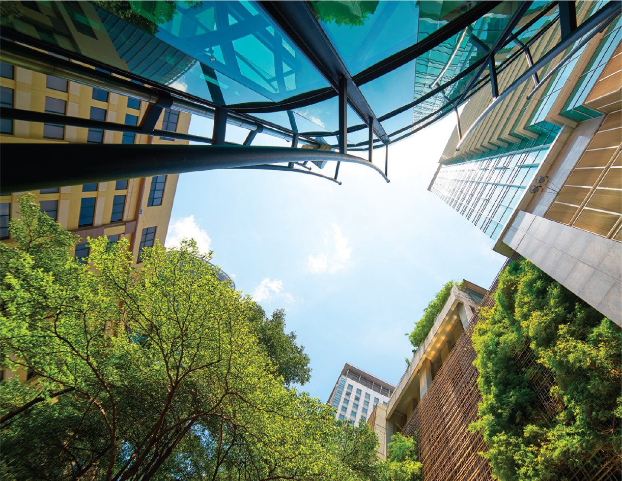 Sustainable Route: Need to ramp up green infrastructure - Indian ...