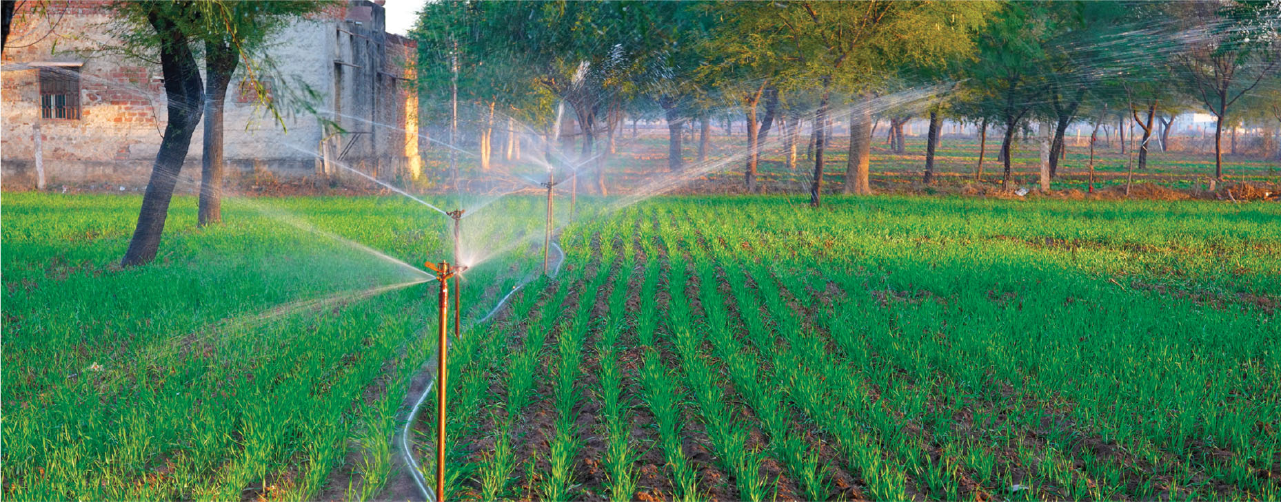 Transforming Arid Lands: Rajasthan’s initiatives in irrigation - Indian ...